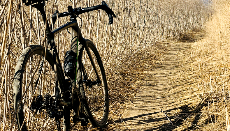 Project Sycamore – Franco Bicycles
